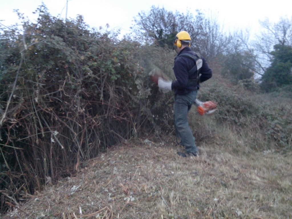 Débroussaillage dans le Var (83) - ECLAIRCIE & L'OR VERTECLAIRCIE & L ...
